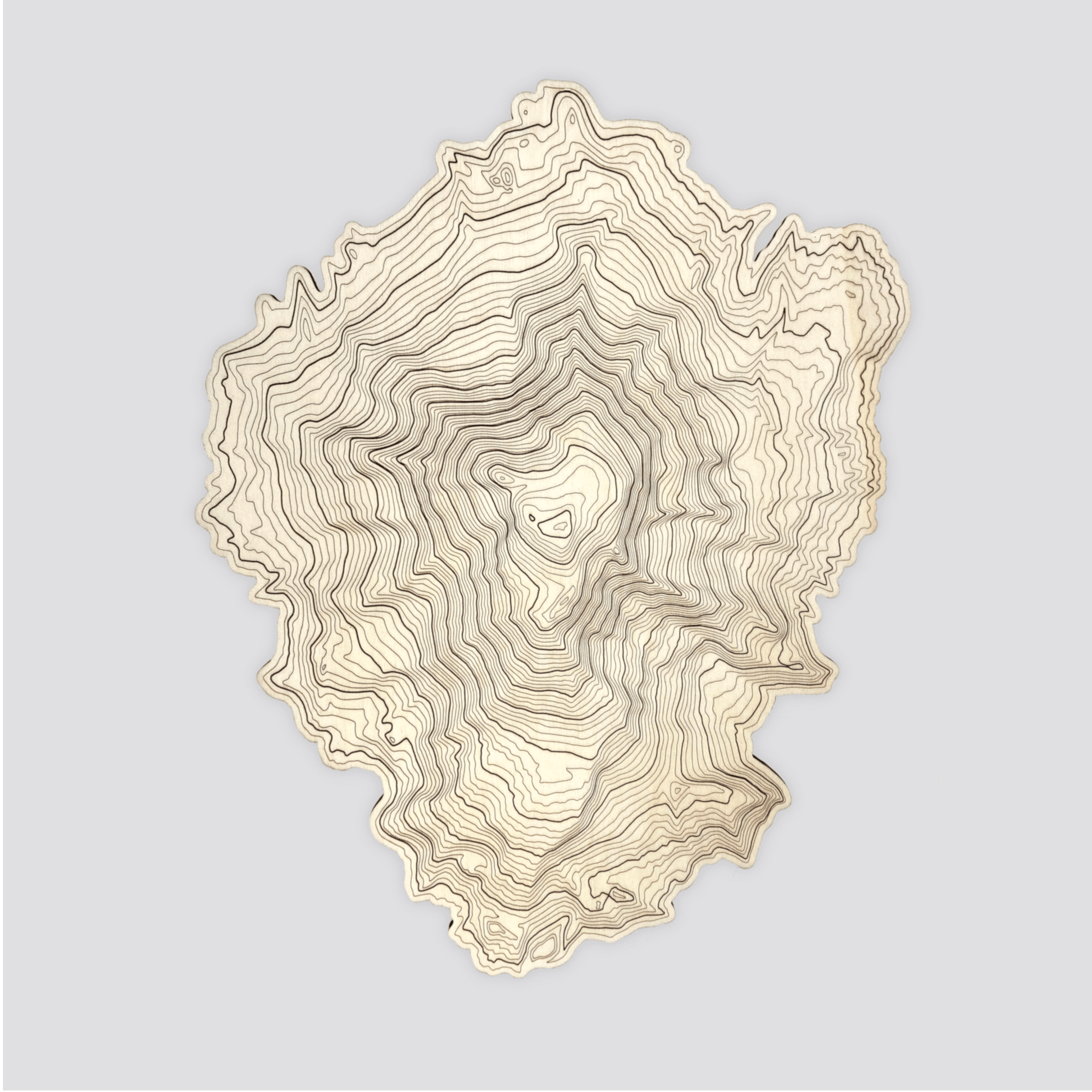 Mt Adams Topography Wall Art – SML | Simple Modern Living