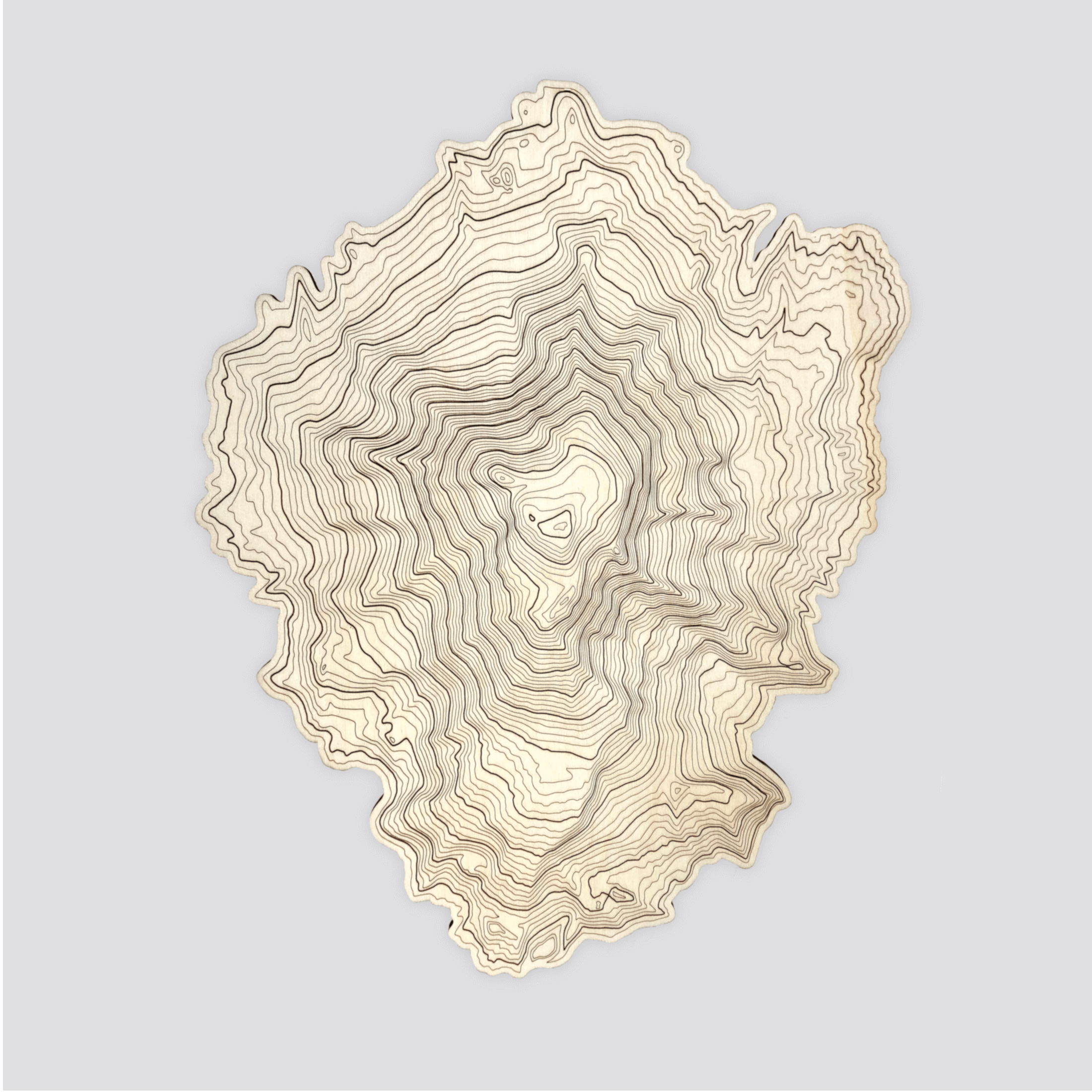 Mt Adams Topography Wall Art – SML | Simple Modern Living